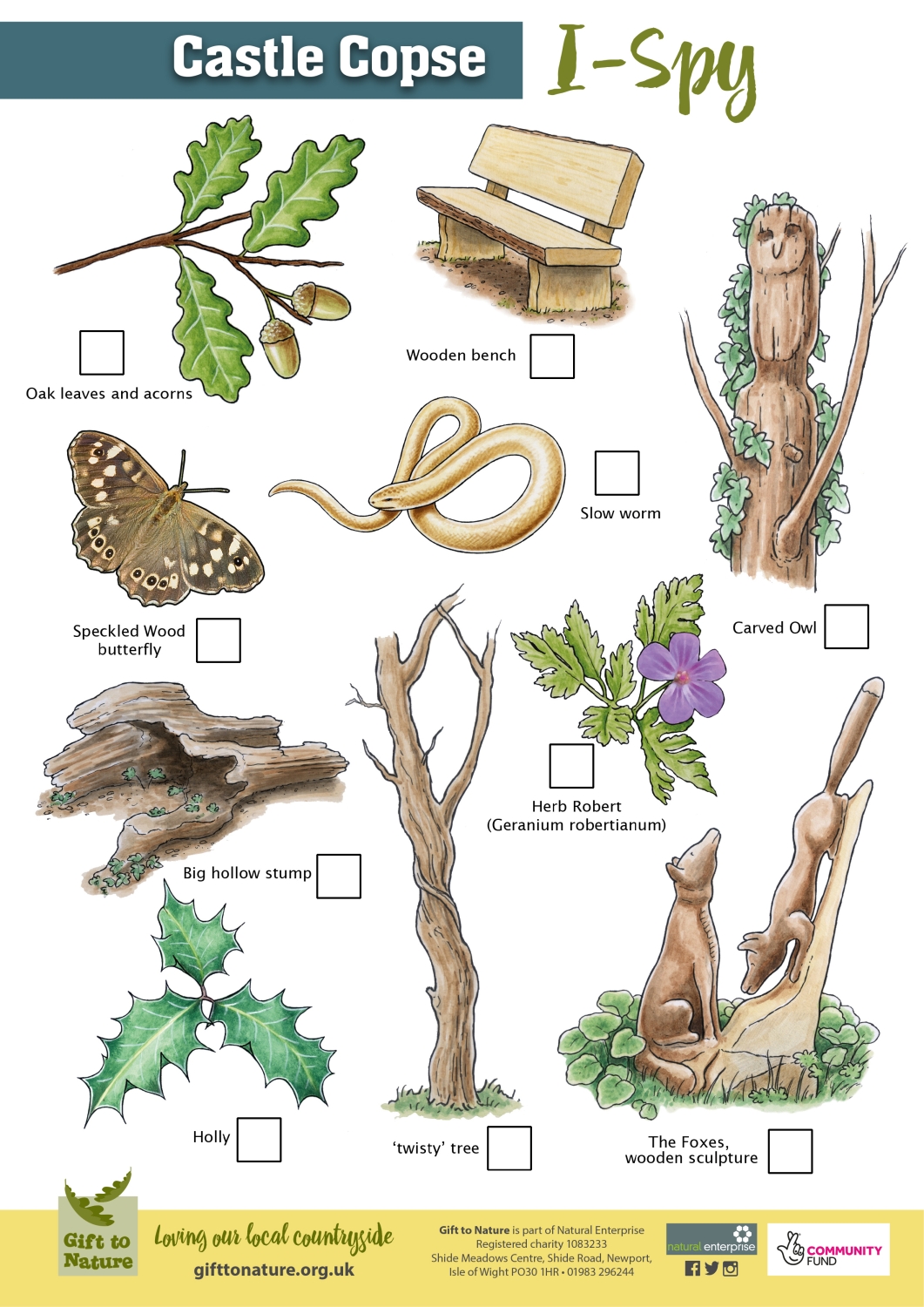 Castle Copse resources and activities - Gift To Nature