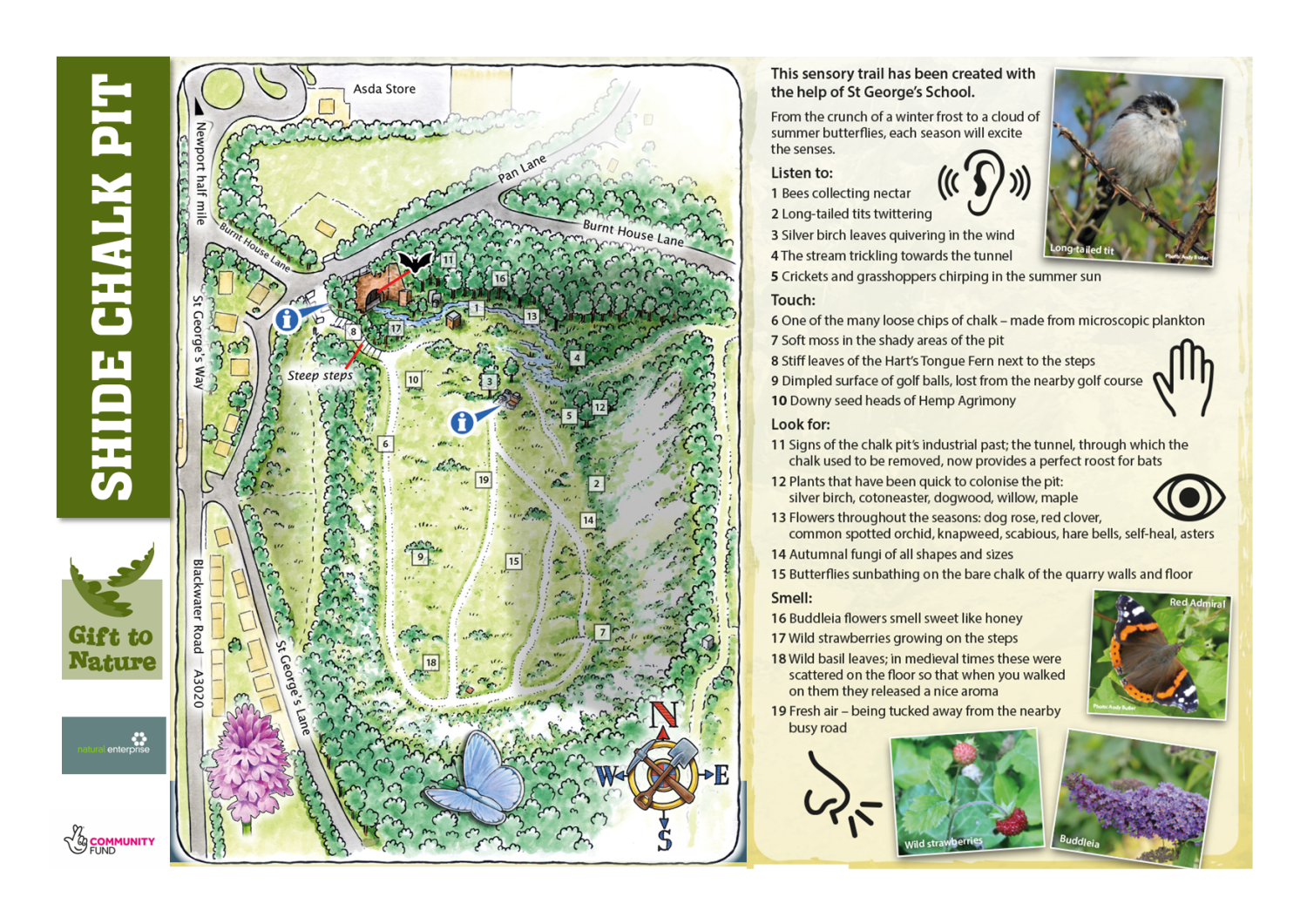 Shide Chalk Pit Activities and Resources - Gift To Nature