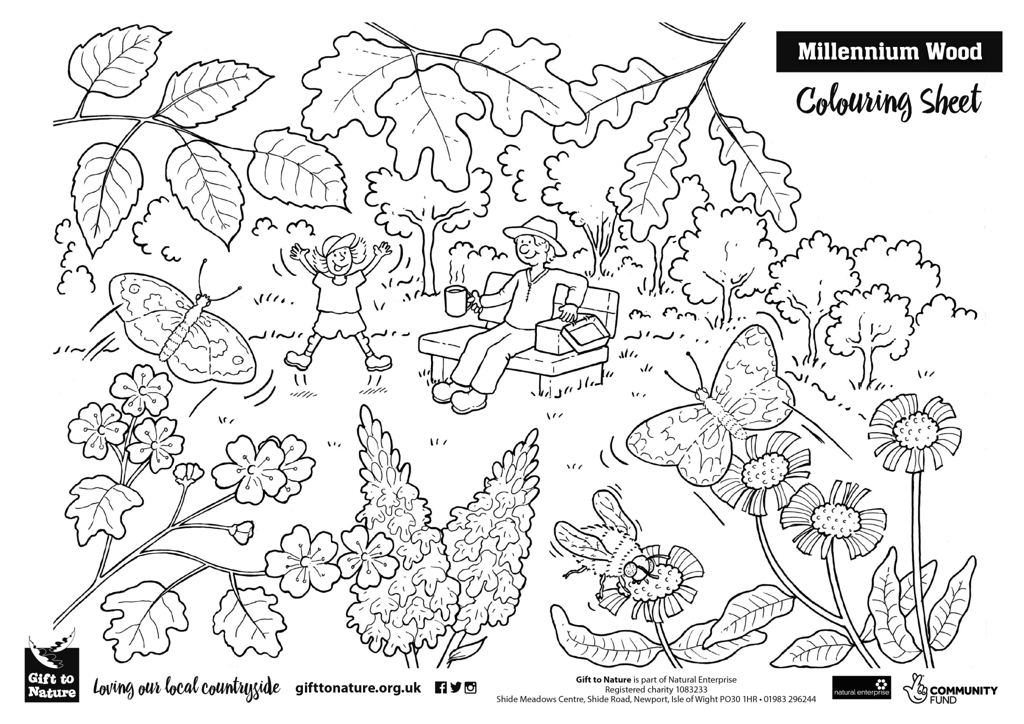 Millennium Wood Activities and Resources - Gift To Nature
