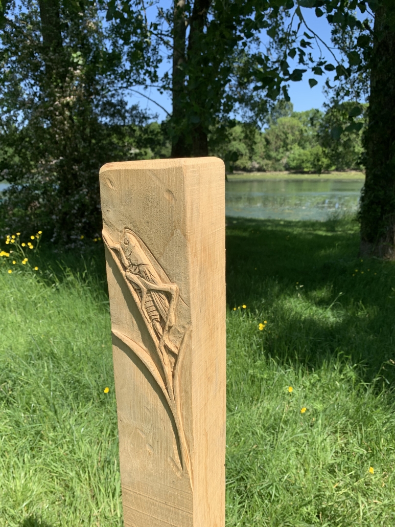 Sensory Trails - Gift To Nature
